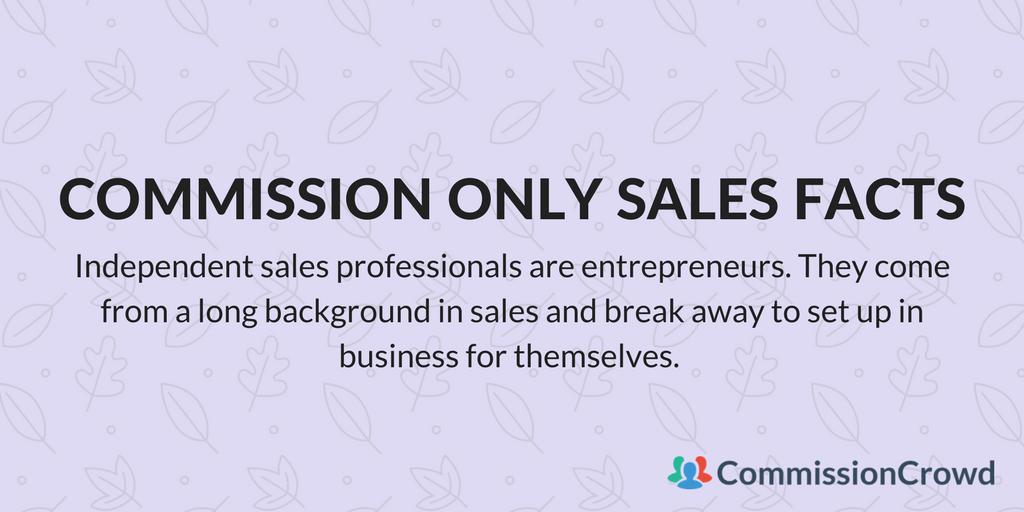 12 Things You Didn't Know About The Commission-Only Sales Rep Industry ...